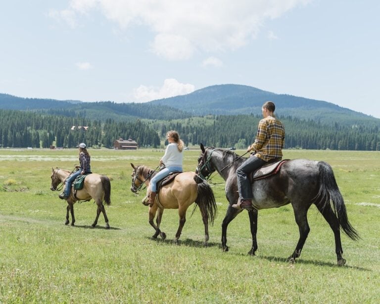 West Yellowstone Montana Lodging & Cabins | Bar N Ranch